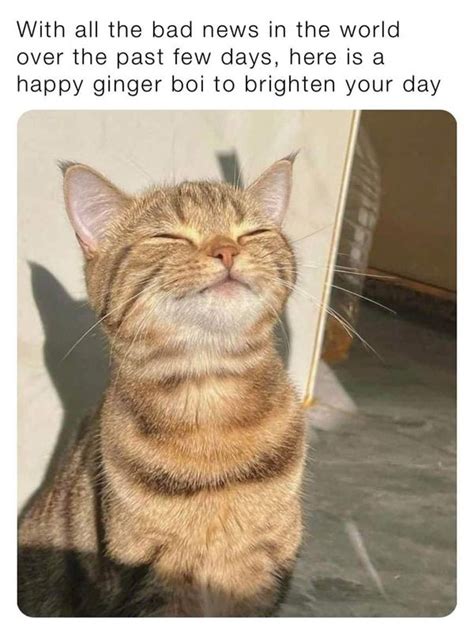 50 Perfectly Accurate Pics And Memes That Capture What Its Like Living