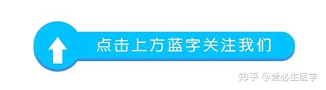 学渣就不要看了如何申请香港临床医学博士PhD 知乎