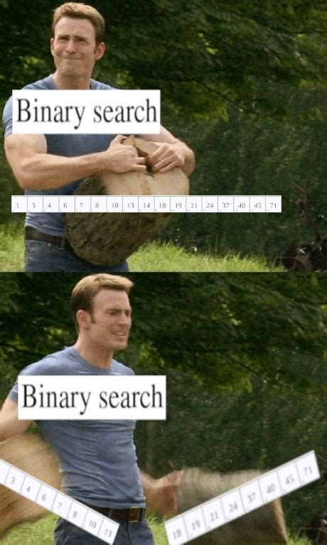 binary search r programmerhumor