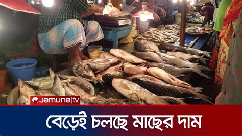শুকনো মৌসুম আসার আগেই বাড়তে শুরু করেছে মাছের দাম Fish Price Youtube