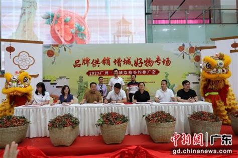 2023年广州·增城荔枝文化推广活动举行 华尔街财经