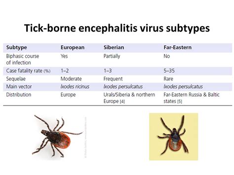 Diagnostic Methods In Virology Ppt Download