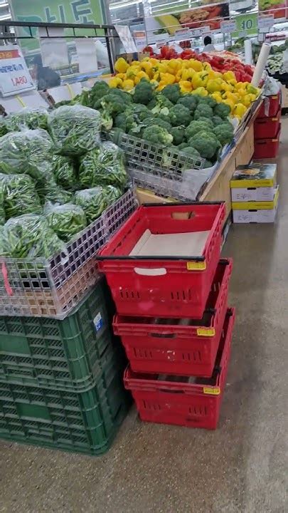 다농마트 5시후에장보면반이상 대박세일 Youtube