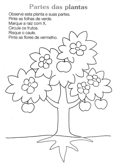 Jardim da Tia Di 150 atividades diversificadas para educação infantil