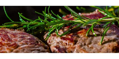 Jak Sestavit J Deln Ek Na Hubnut Objem Z Klady Pl Nov N Onefit Cz