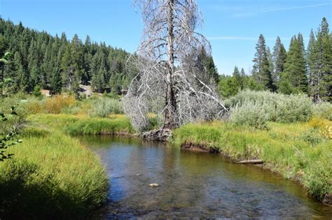 Views From The Famed Donner Pass State Park In California Near Lake