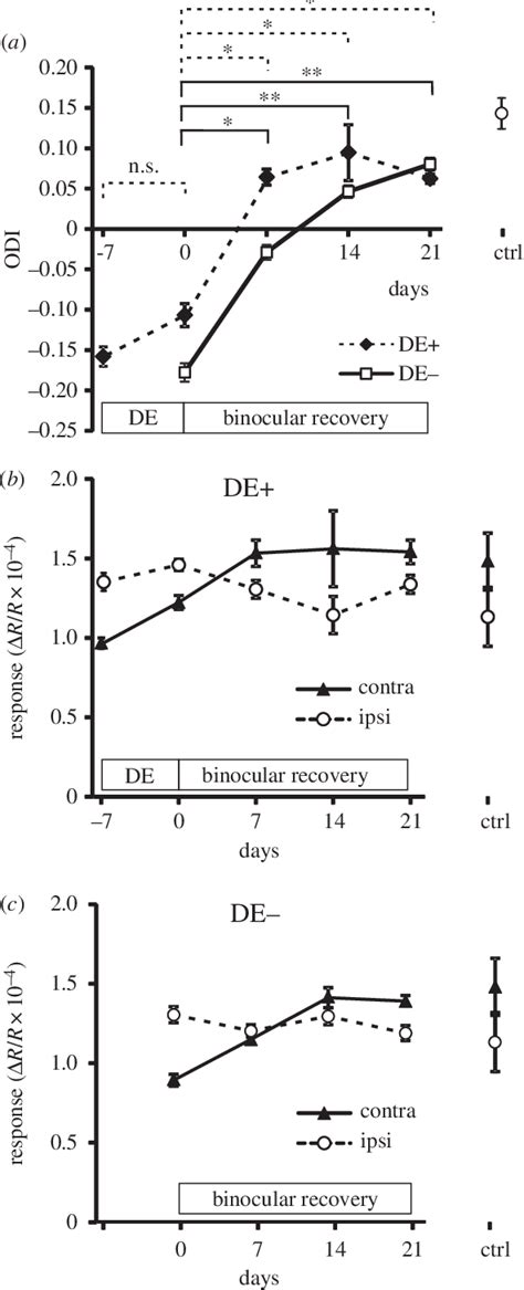 Figure 2 From Enhancement Of Visual Cortex Plasticity By Dark Exposure Semantic Scholar