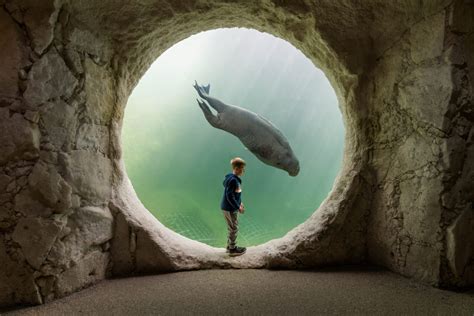 Online Photoshop Lightroom And Photography Training Kelbyone