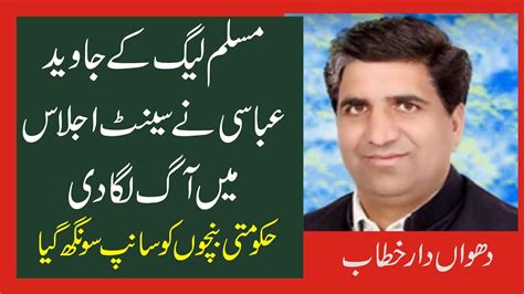 Pmln Senator Javed Abbasi Sensational Speech Treasury Benches Gone On