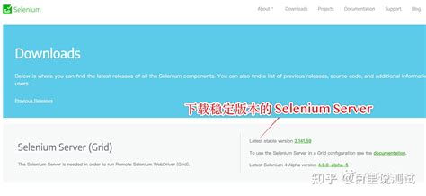 如何使用selenium Side Runner运行selenium Ide导出的side文件 知乎