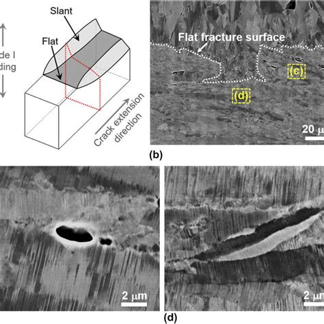The Whole Fracture Surfaces Of Three Kinds Of Tested Samples A