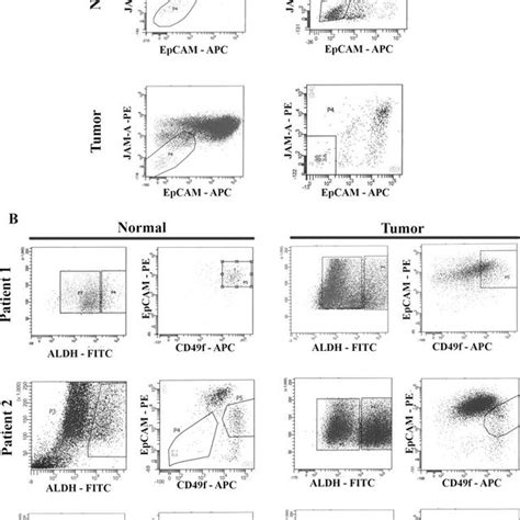 Single Cell Analyses Scheme And Samples Analyzed A Schematic View Of
