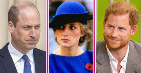 Princess Dianas Heartwarming Confession About Queen William And Harry