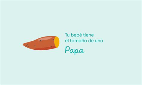 Semana 18 De Embarazo Síntomas Y Desarrollo Del Bebé Pampers® Perú