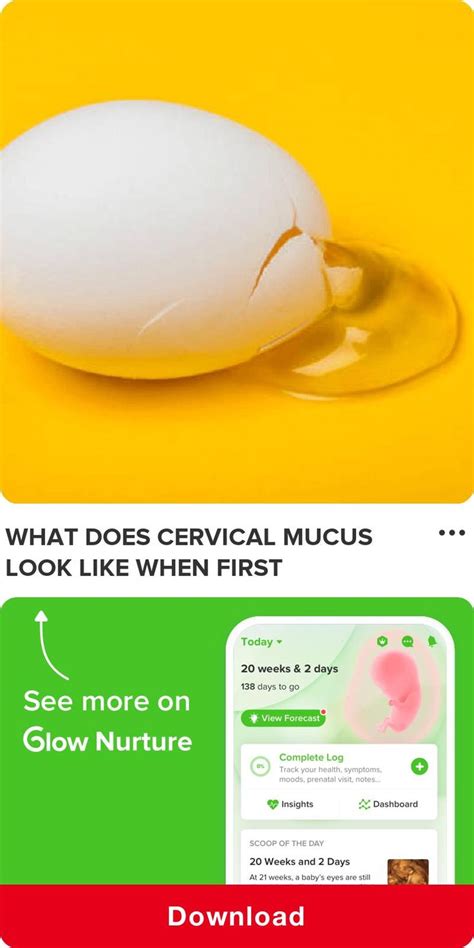 What Does Cervical Mucus Look Like When First Pregnant Cervical
