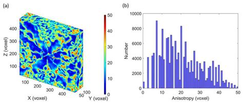 A Anisotropy Of Three Directional Optimal Subvolume Sizes And B Download Scientific
