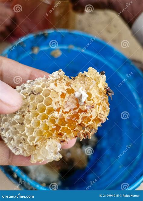 Miel Image Stock Image Du Cellules Soda Extensions 219991915