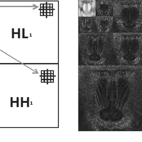 A 3 Level Second Generation Wavelet Decomposition B 3 Level