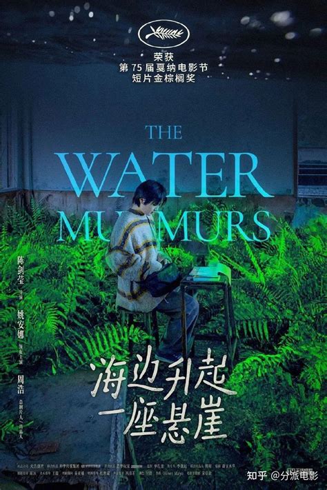 别具印象式风格，当之无愧金摄像机奖，《晒后假日》确实余味悠长 知乎