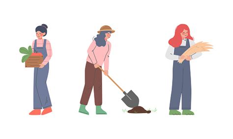 삽으로 토양을 파고 잘 익은 채소 벡터 세트로 상자를 운반하는 정원에서 일하는 여성 농부 농부에 대한 스톡 벡터 아트 및 기타