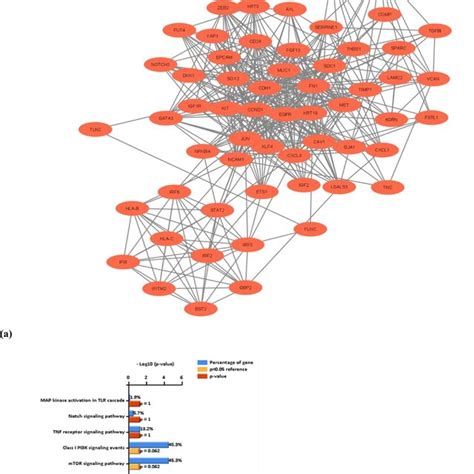 a ppi network construction was performed using mcode from cytoscape