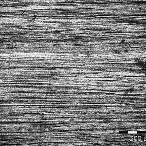 Typical Fibrous Microstructure Of 90 Cold Rolled Specimen In Through