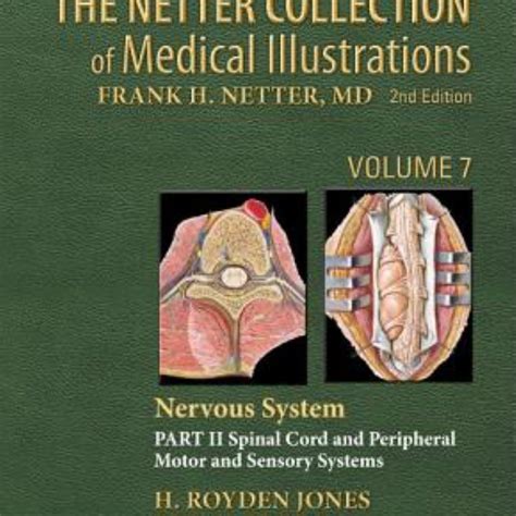 The Netter Collection Of Medical Illustrations Nervous System Volume