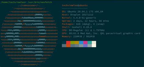 Install And Use Nu Shell On Linux MacOS ComputingForGeeks