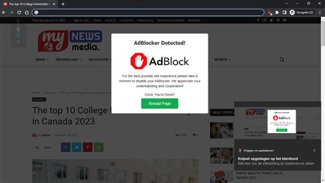 detection · issue 16399 · ublockorigin uassets · github