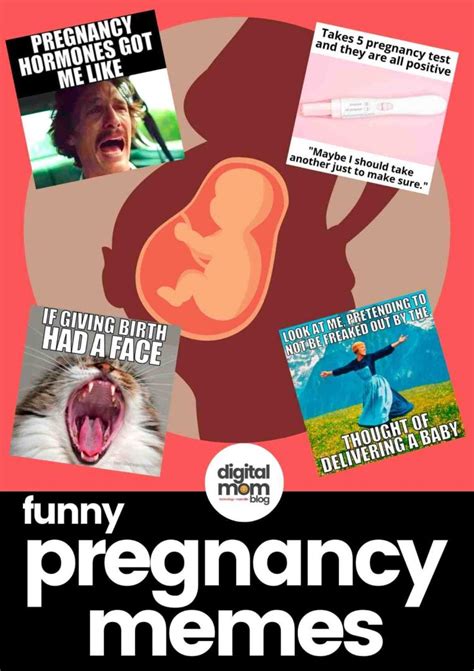 30 Hilarious Pregnancy Memes For Expecting Moms