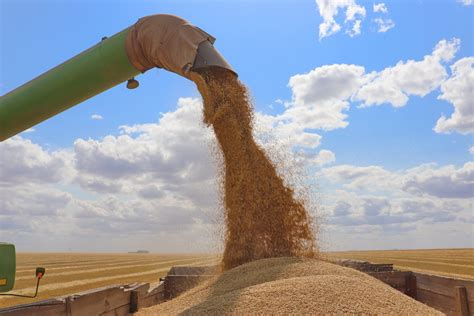 Законы урожая Olzha Agro