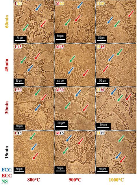 Optical Micrographs Of The Heat Treated Microstructures Blue Red And