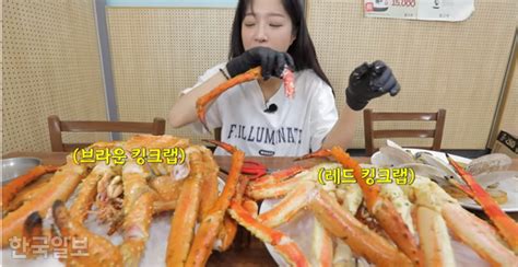 킹크랩 16인분 먹은 유튜버 쯔양 애국 먹방 한국일보