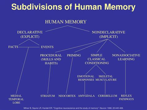 Ppt Chapter 5 Associative Learning And Unlearning Powerpoint