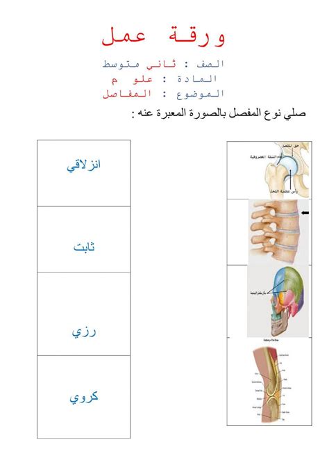 المفاصل 4669710 M M10 Live Worksheets