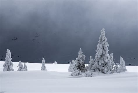 Photo In Landscape Author Rossitsa Vassileva Rosivas Photo Forum