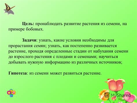 Презентация на тему Развитие растения из семени Научно