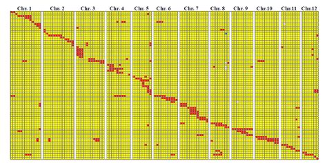 Development Of Chromosome Segment Substitution Lines And Genetic