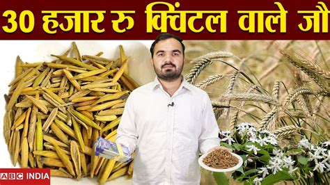 30 000 रपय परत कवटल वल ज Inderjau ki kheti Medicinal