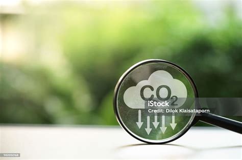 Co2 감소를 위한 녹지 배경의 돋보기 유리 내부의 Co2 감소 아이콘 탄소 발자국 및 탄소 배출권은 기후 변화로 인한 지구 온난화를 제한하기 위한 바이오 순환 녹색 경제