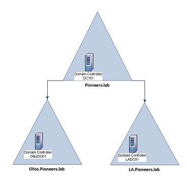 Forest And Trees Network Pioneers