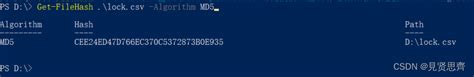 Windows 10自带命令查看文件的哈希值windows查看hash值 Csdn博客