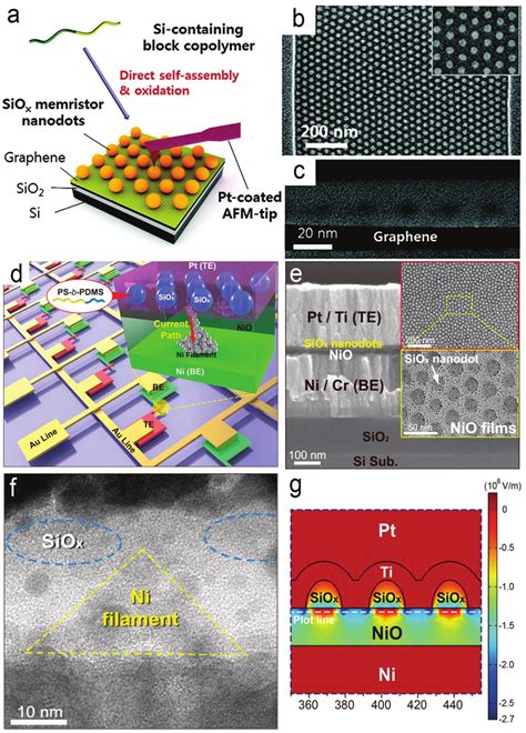 A Schematic Of Pt Tipsio X Ndsio X G Device B Sem Image Of Top