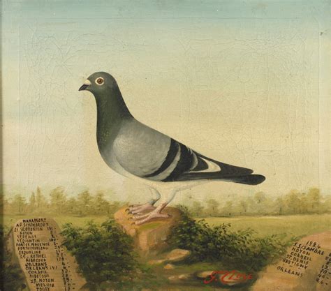 Auktionshaus Mehlis Auktionen