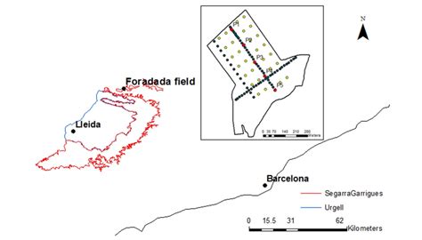 Evaluación de las medidas de humedad de suelo generadas con datos de