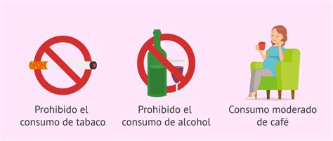 Primer Mes De Embarazo Desarrollo Fetal Síntomas Y Cuidados