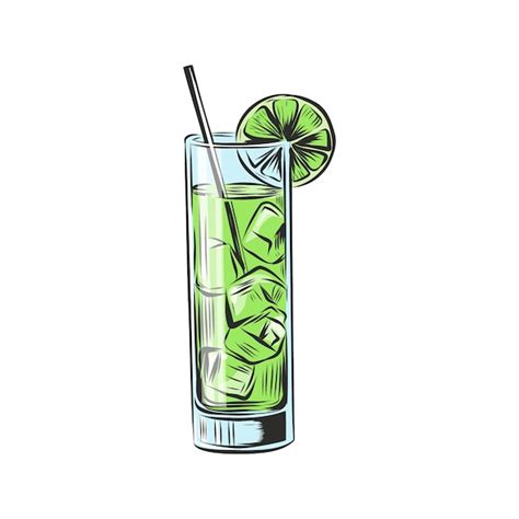 Premium Vector Mojito Illustration For Posters Menu Decoration Logo