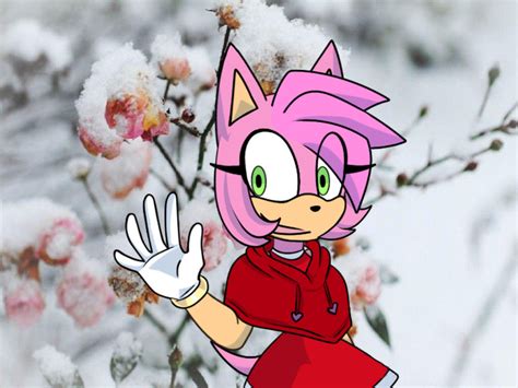 Amy Rose Winter Version By Thecircusfox On Deviantart
