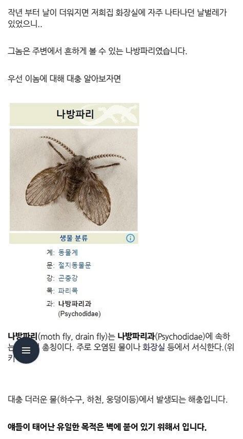 화장실 나방파리 없애기 꿀팁 지식의정석 New