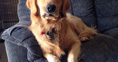 Something Stinks In Here Imgur